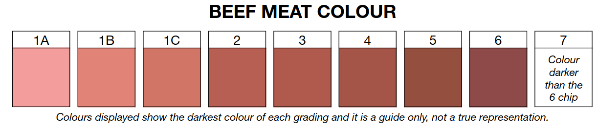 Meat Cut Quiz Collection